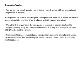 Chromosome walking jumping transposon tagging map based cloning | PPTX