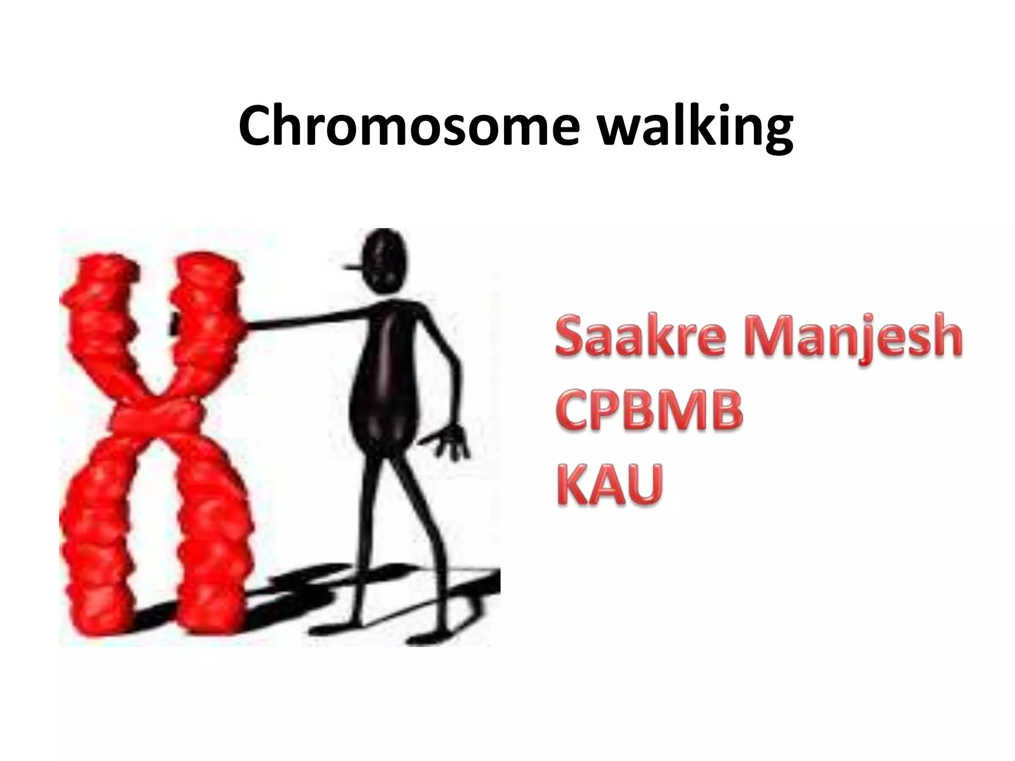 Chromosome walking | PPTX