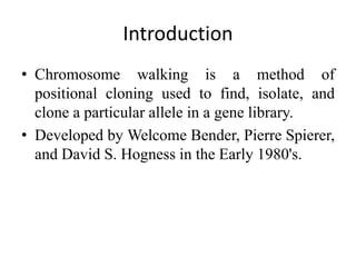 Chromosome walking | PPTX