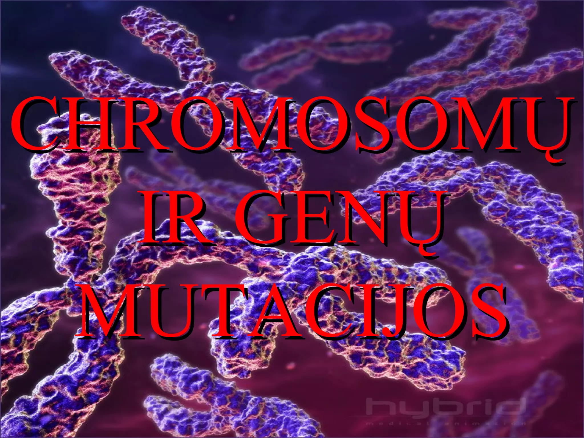 Chromosomų ir genų mutacijos | PPT