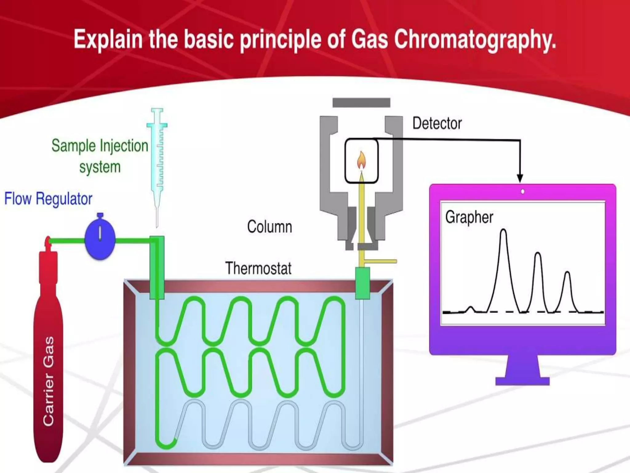 Applied Biochemistry | PPTX