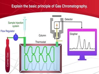 Applied Biochemistry | PPTX