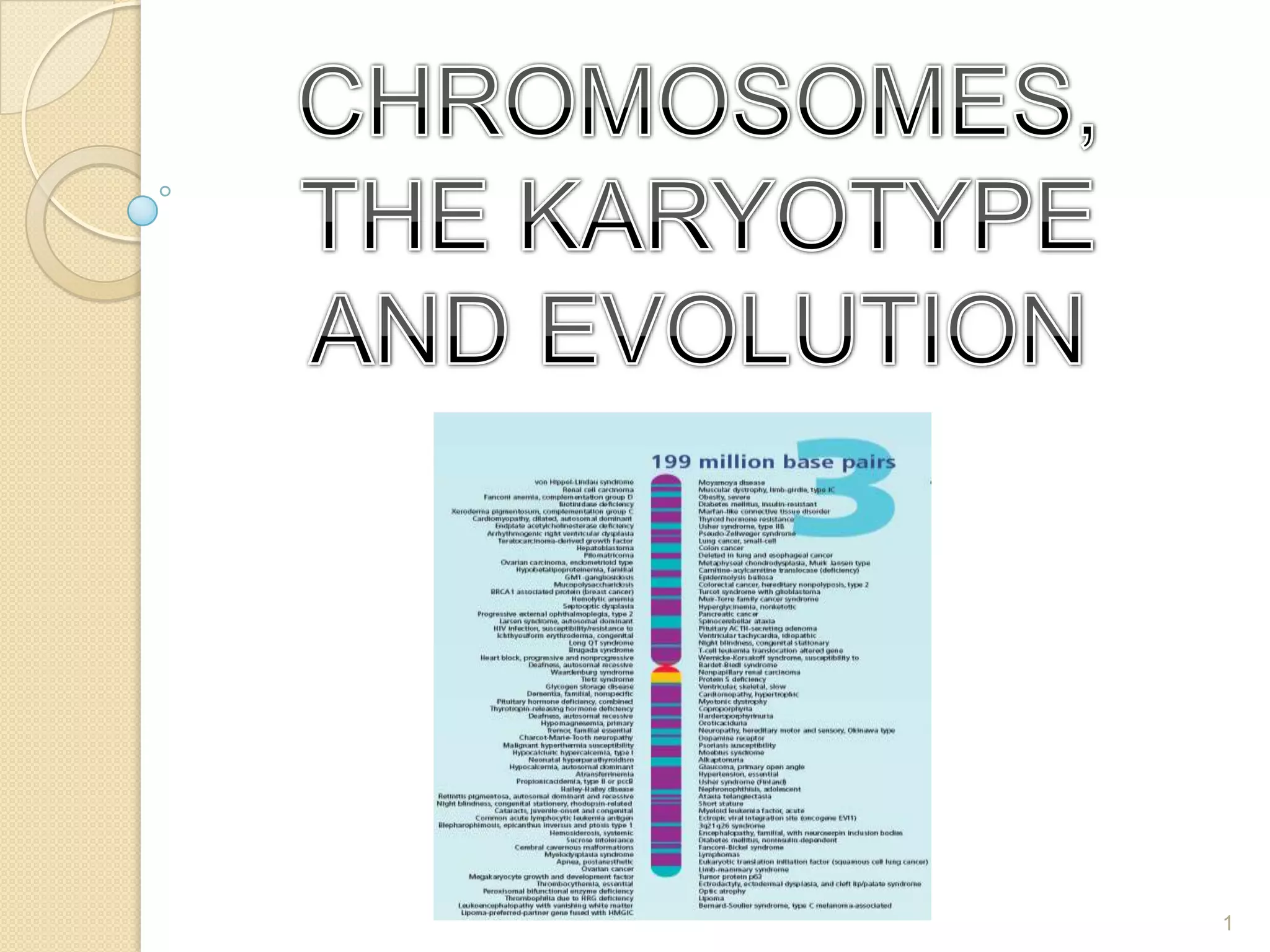 Chromsome, karyotype, and evolution | PPTX