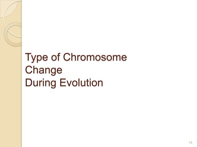 Chromsome, karyotype, and evolution | PPT