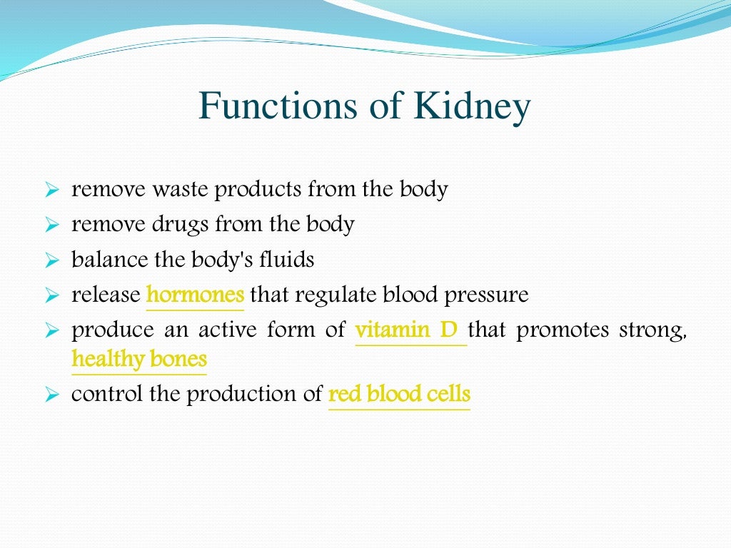 Chronic Glomerulonephritis Symptoms Diagnosis Treatment Of Chroni…