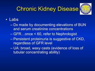 Chronic Kidney Disease | PPT
