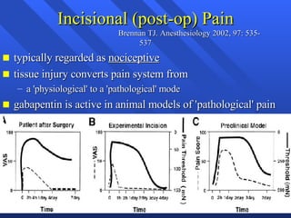Chronic Pain After Surgery Molecules | PPS