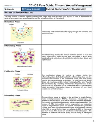 Chronic Wound management- a flowchart.pdf