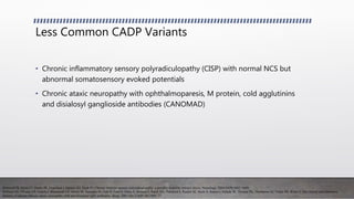 Chronic Acquired Demyelinating Polyneuropathy | PPTX | Brain and ...