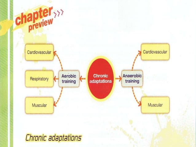 Chronic adaptations | PPTX
