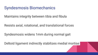 Chronic ankle instability and syndesmotic injuries | PPTX