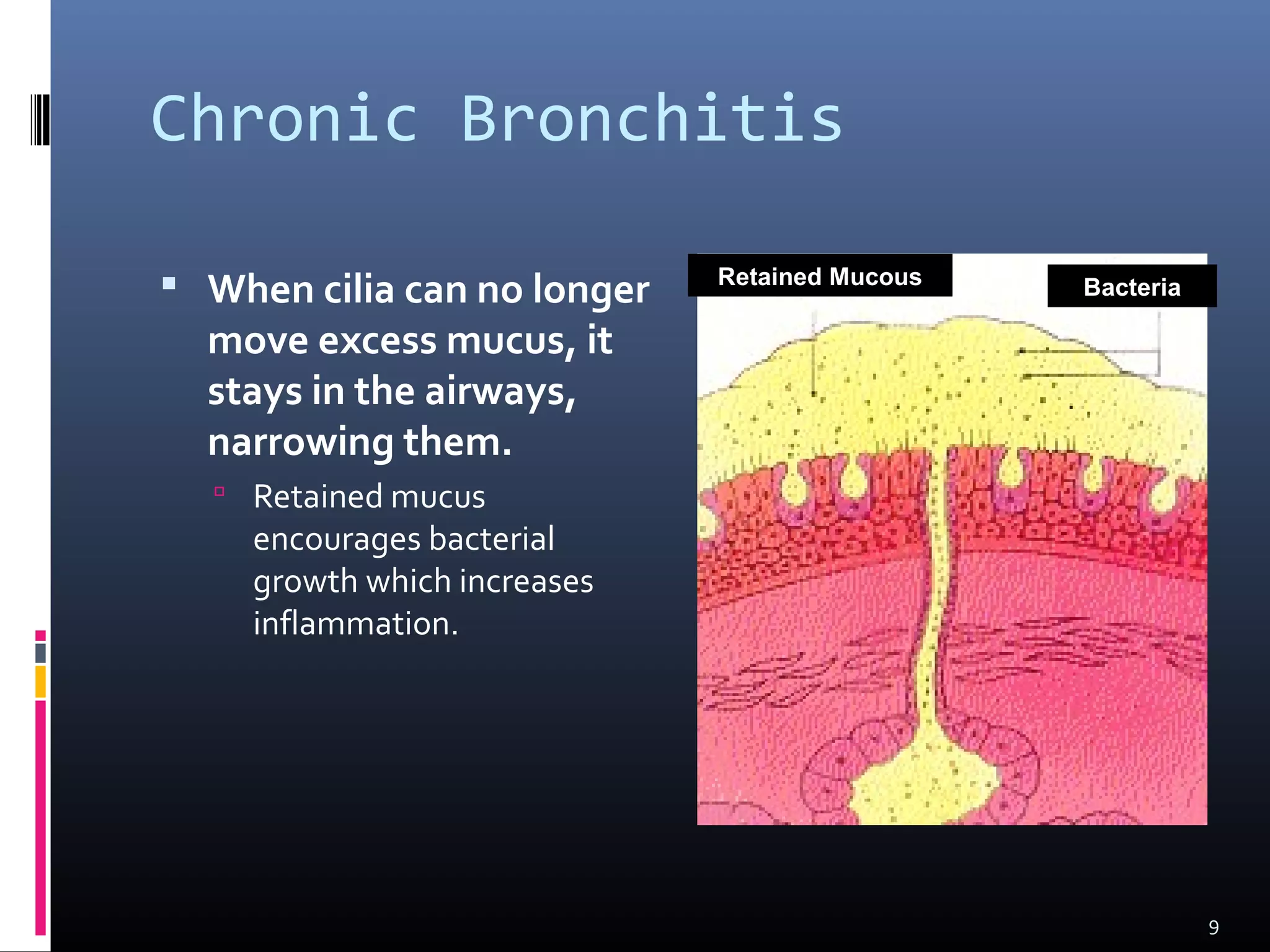 Chronic Bronchitis | PPT