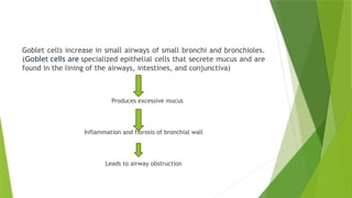 chronic bronchitis.causes and risk factors, signs and symptoms ...