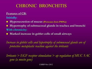Chronic Bronchitis Pathophysiology