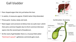 Chronic cholecystitis and inflammation for mbbs students | PPT