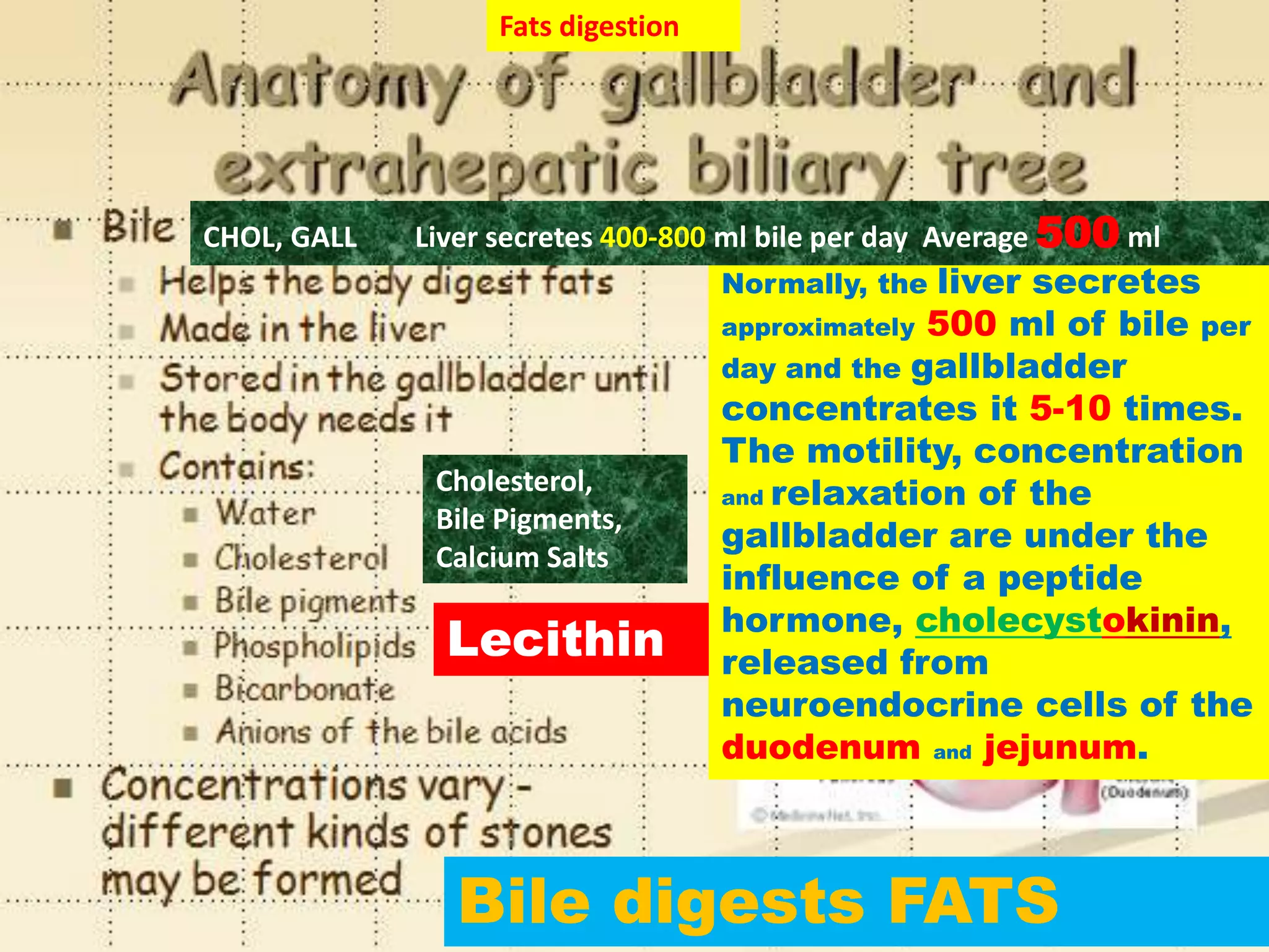 Chronic cholecystitis practical | PPTX