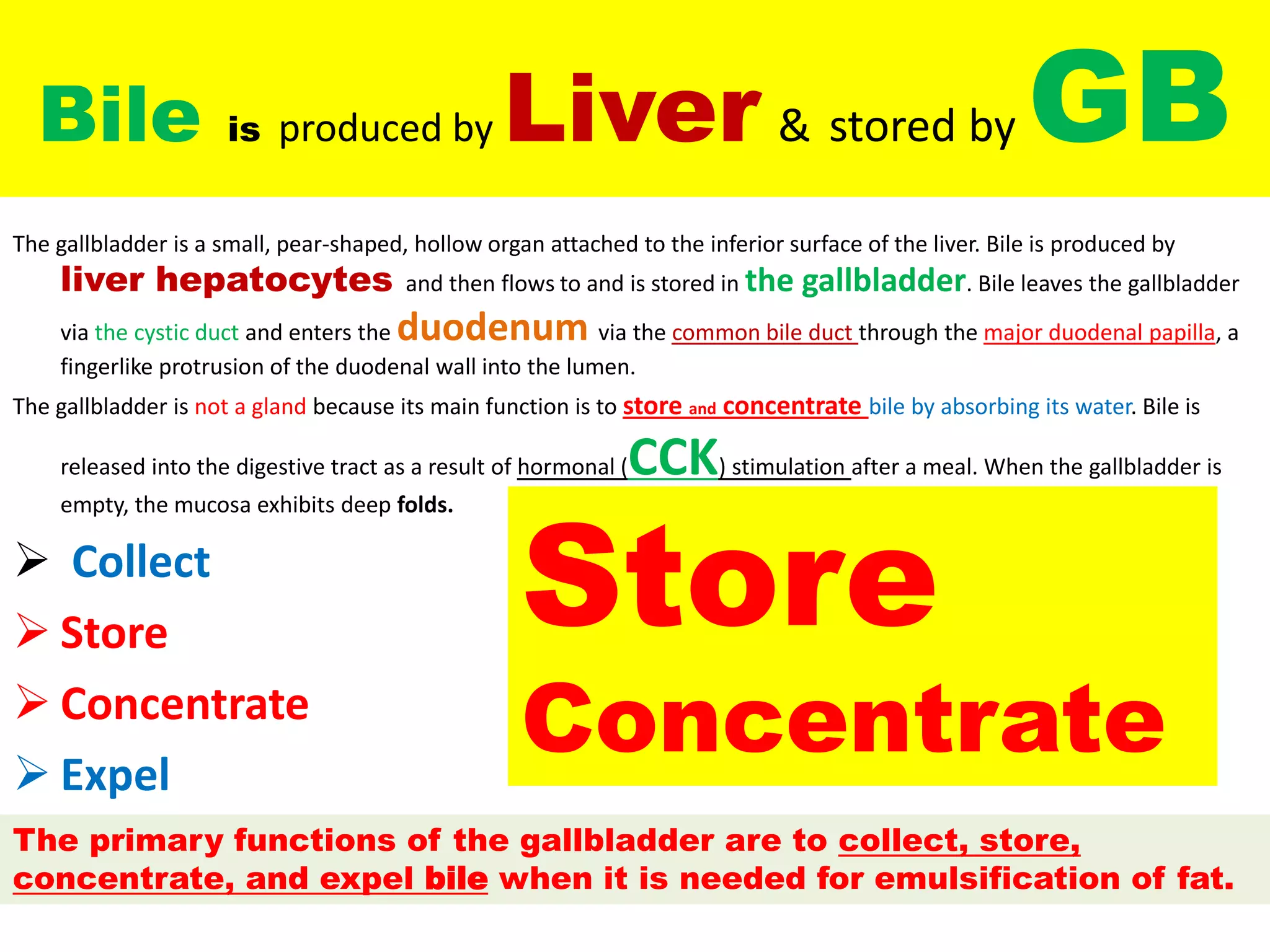 Chronic cholecystitis practical | PPTX