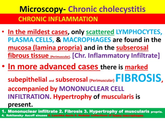 Chronic cholecystitis practical | PPTX