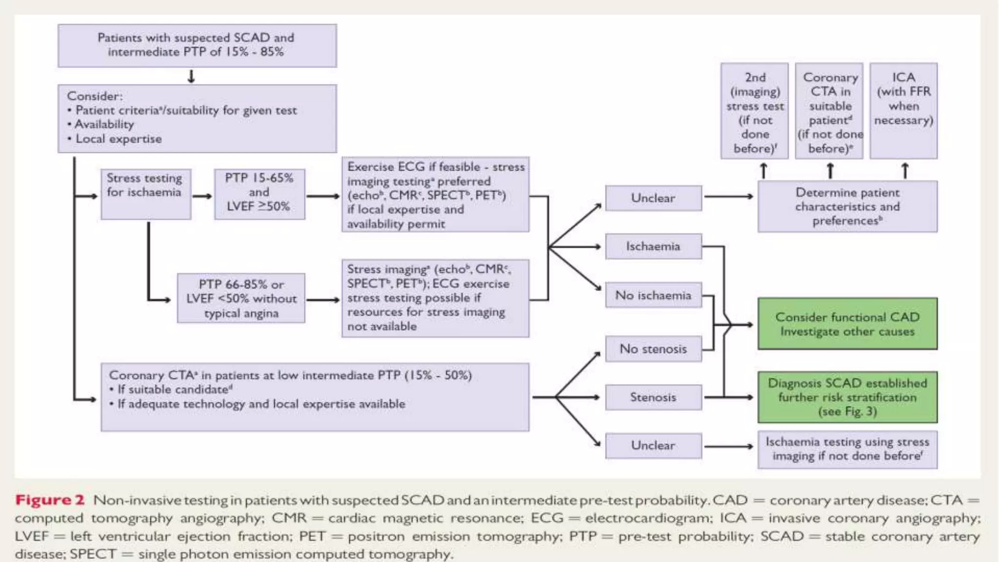Chronic Coronary Syndrome ESC 2019.pptx