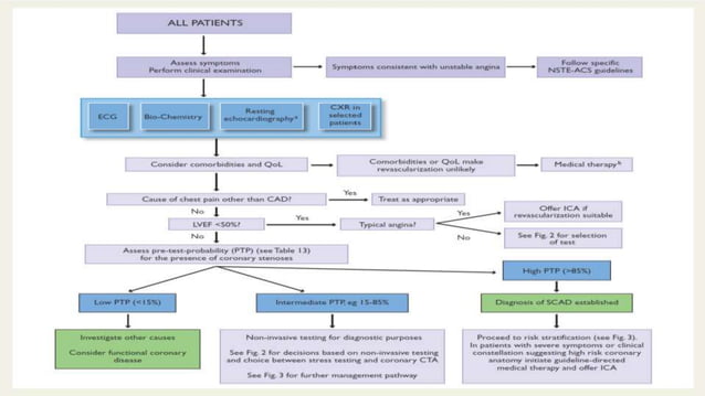 Chronic Coronary Syndrome ESC 2019.pptx | Lung and Respiratory Health ...
