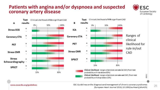 Chronic Coronary Syndrome ESC 2019.pptx | Lung and Respiratory Health ...