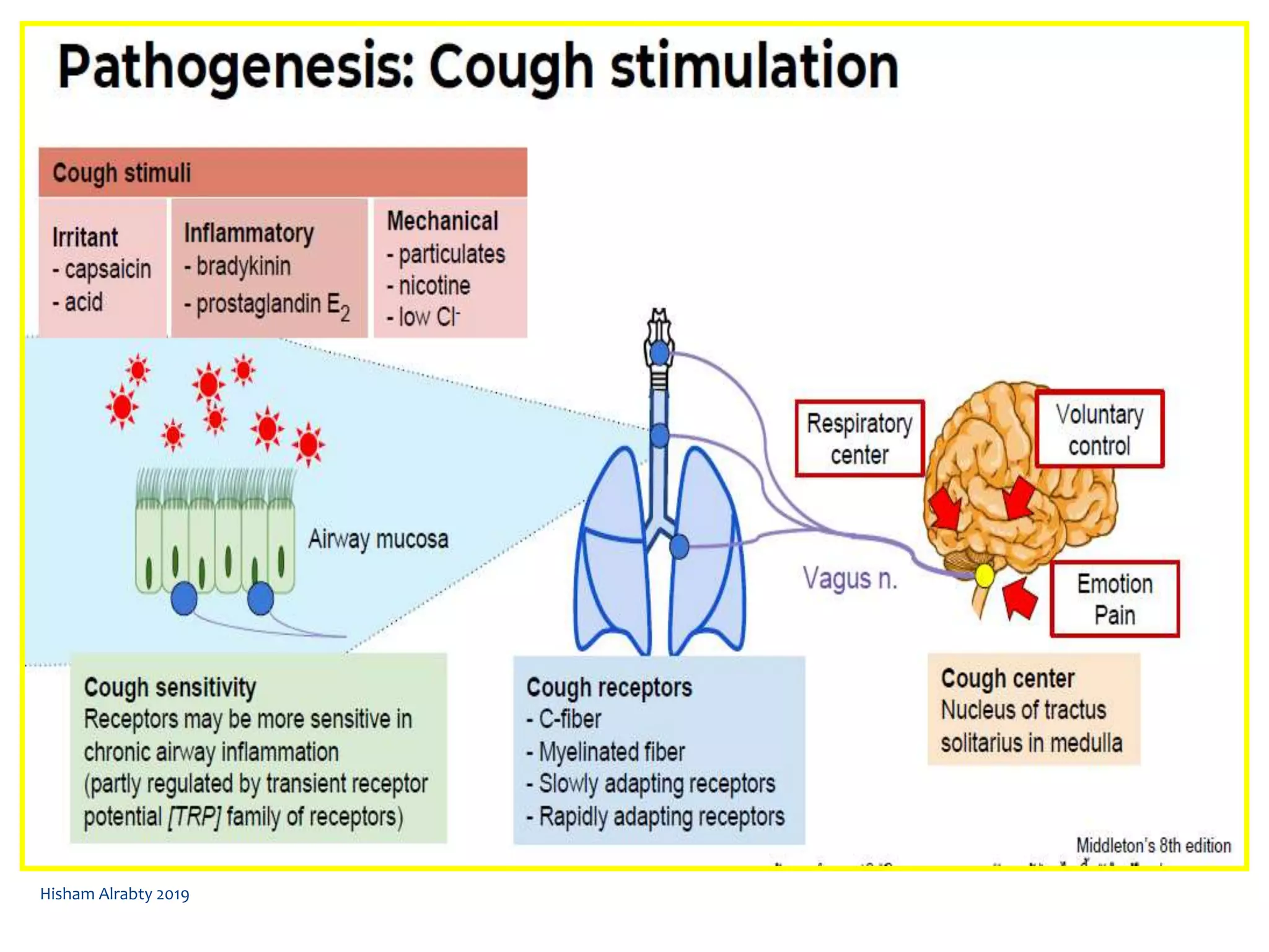 Chronic cough | PPTX