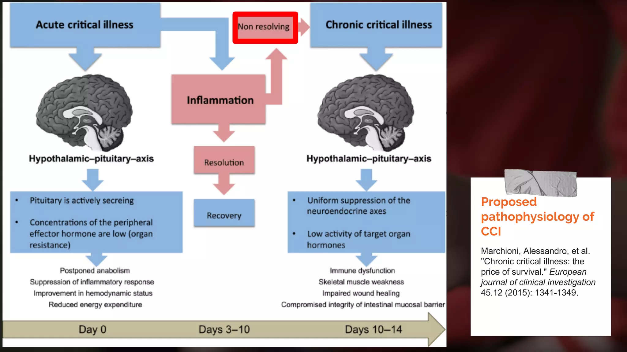 Chronic critical illness | PDF