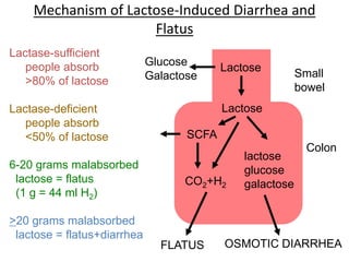 Chronic diarhea and malabsorption | PPT