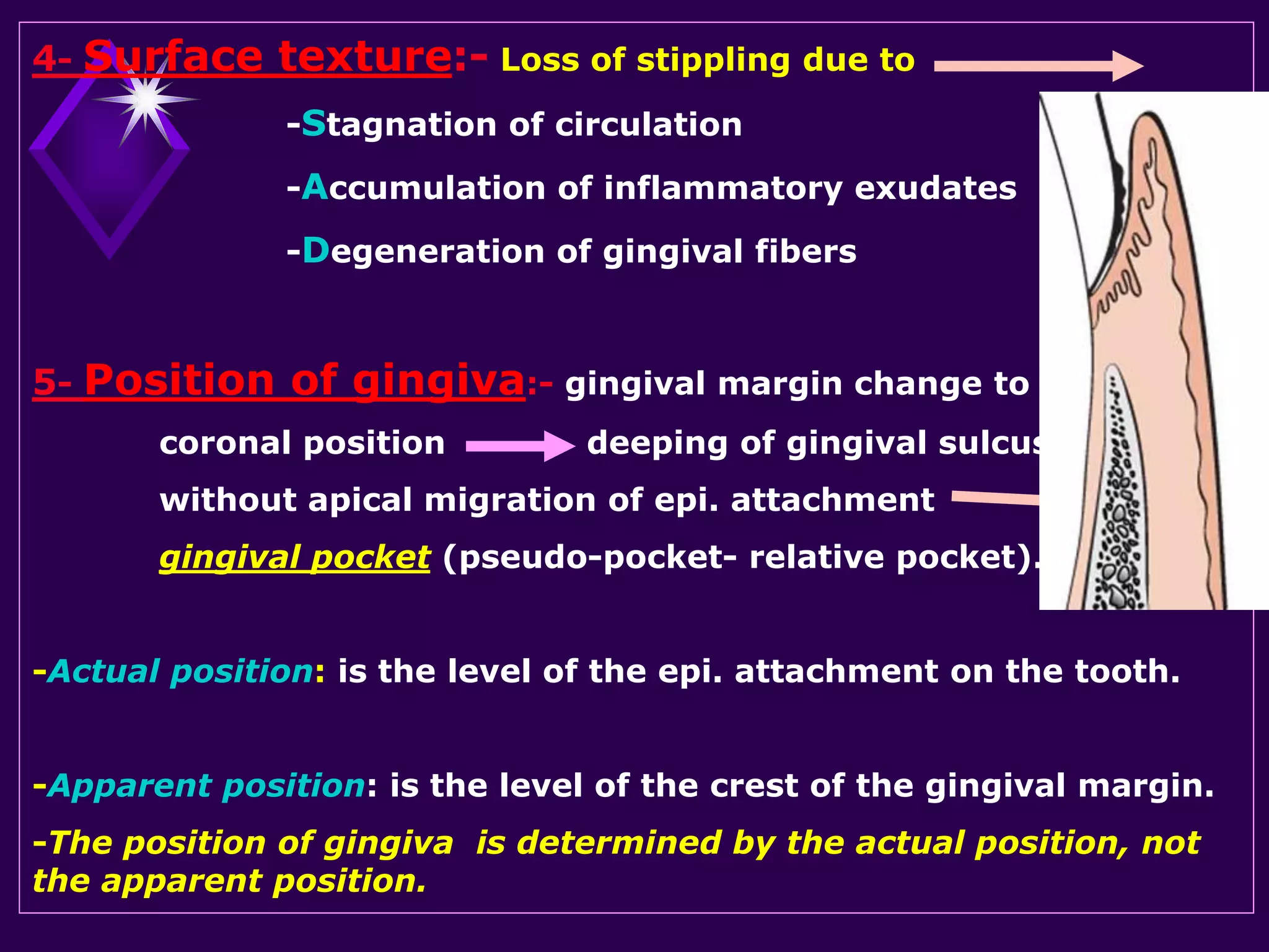 Chronic gingivitis | PDF