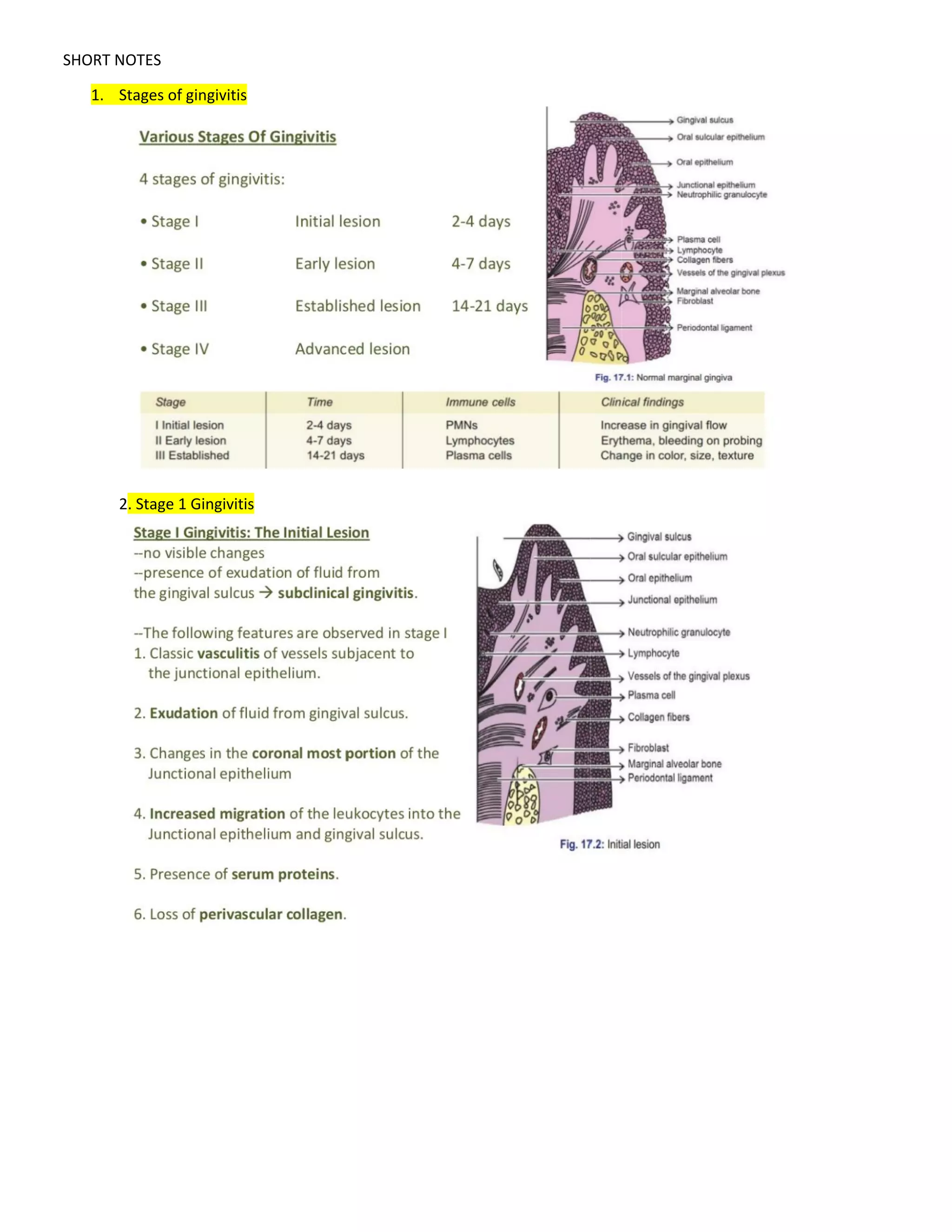 Chronic gingivitis | PDF