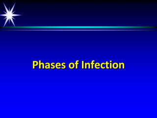 Chronic hbv infection diagnosis and management dr neeraj nagaich | PPT
