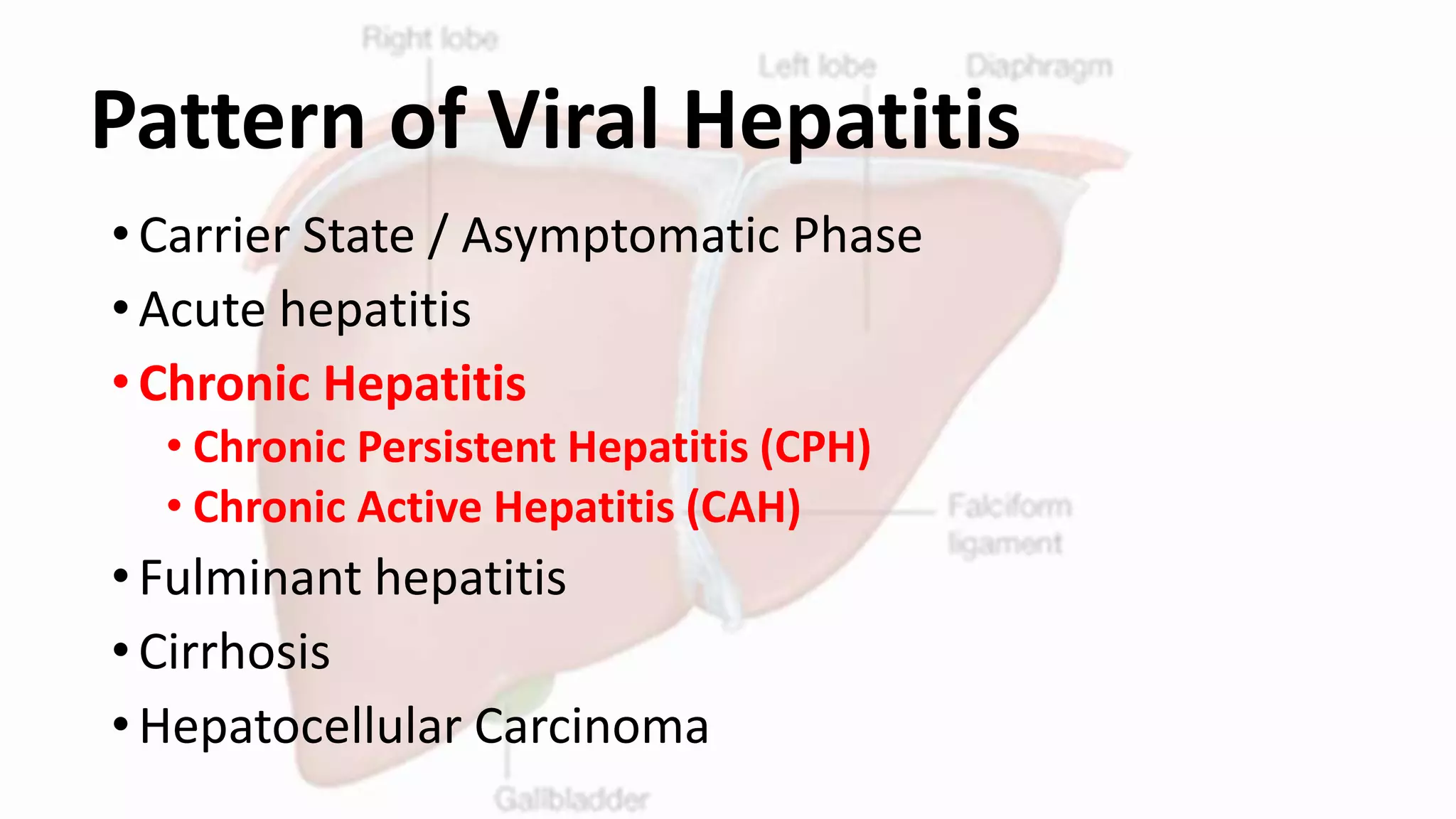 Chronic hepatitis b | PPTX