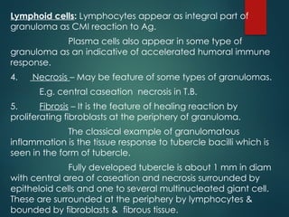 CHRONIC INFLAMATION & GRANULOMA for public awareness | PPTX