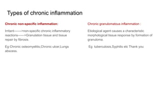 Chronic inflammation-1 mbbs ppt pathology.pdf