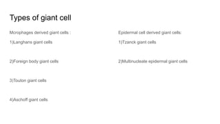 Chronic inflammation-1 mbbs ppt pathology.pdf