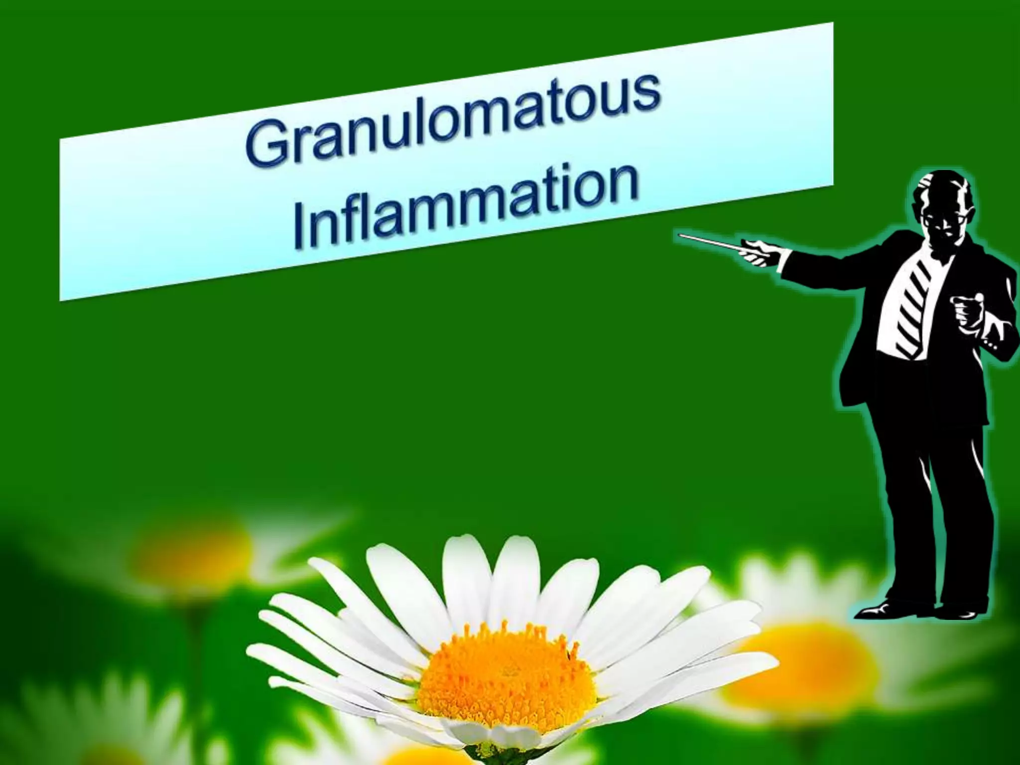 Chronic inflammation ppt | PPTX
