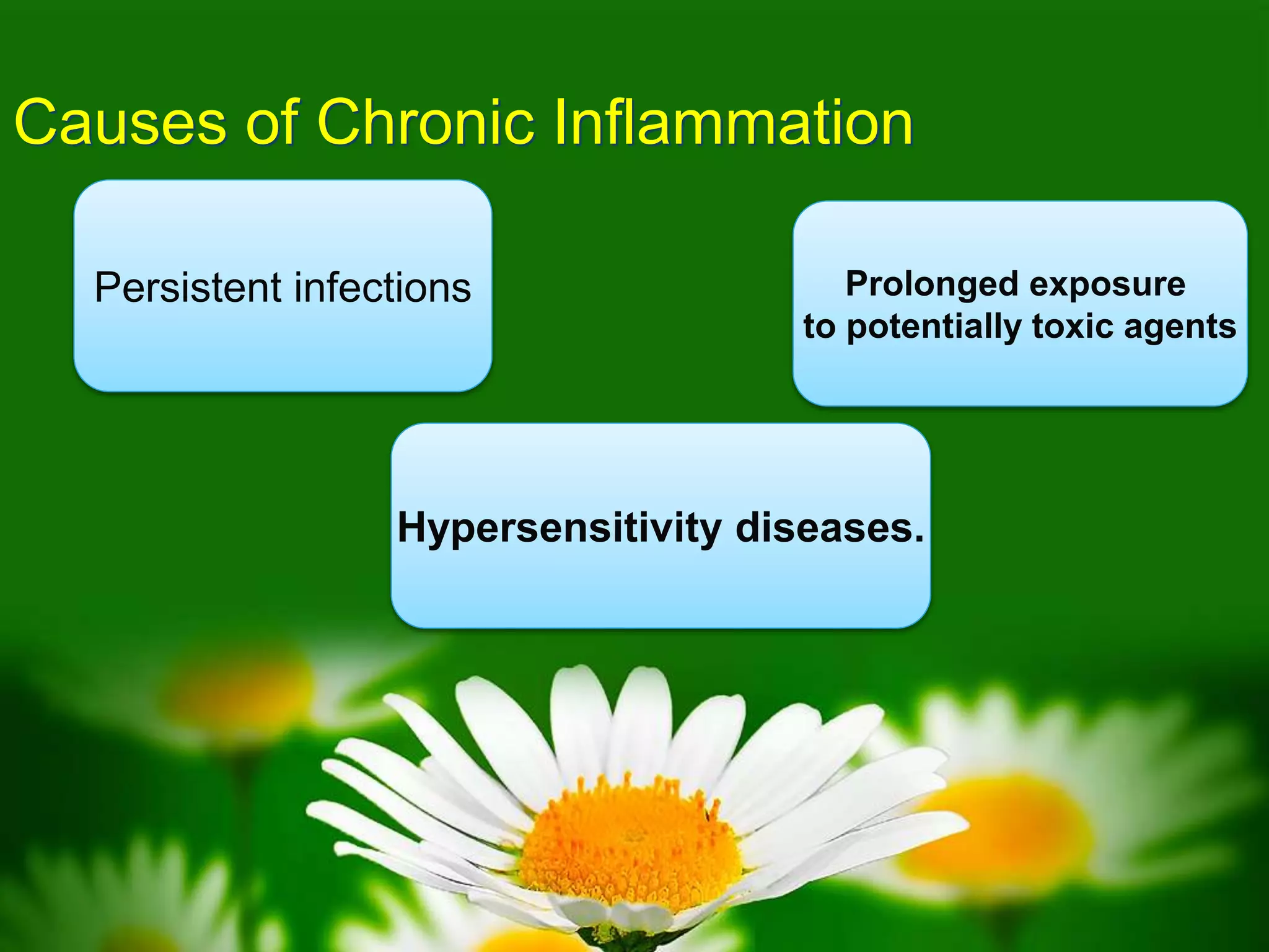 Chronic inflammation ppt | PPTX