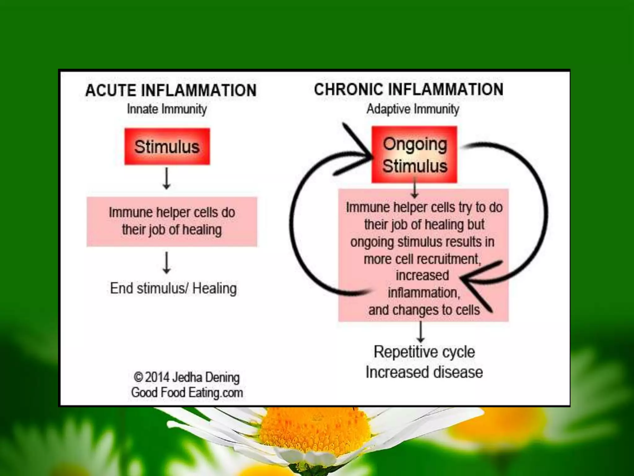 Chronic inflammation ppt | PPTX