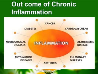Chronic inflammation ppt | PPTX