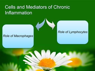 Chronic inflammation ppt | PPTX