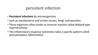 Chronic inflammation | PPTX