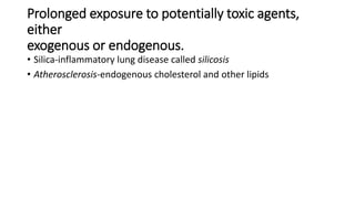 Chronic inflammation | PPTX