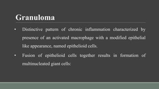 Chronic inflammation | PPTX