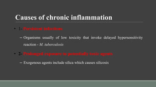 Chronic inflammation | PPT