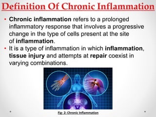Chronic Inflammation by Akash Das | PPTX