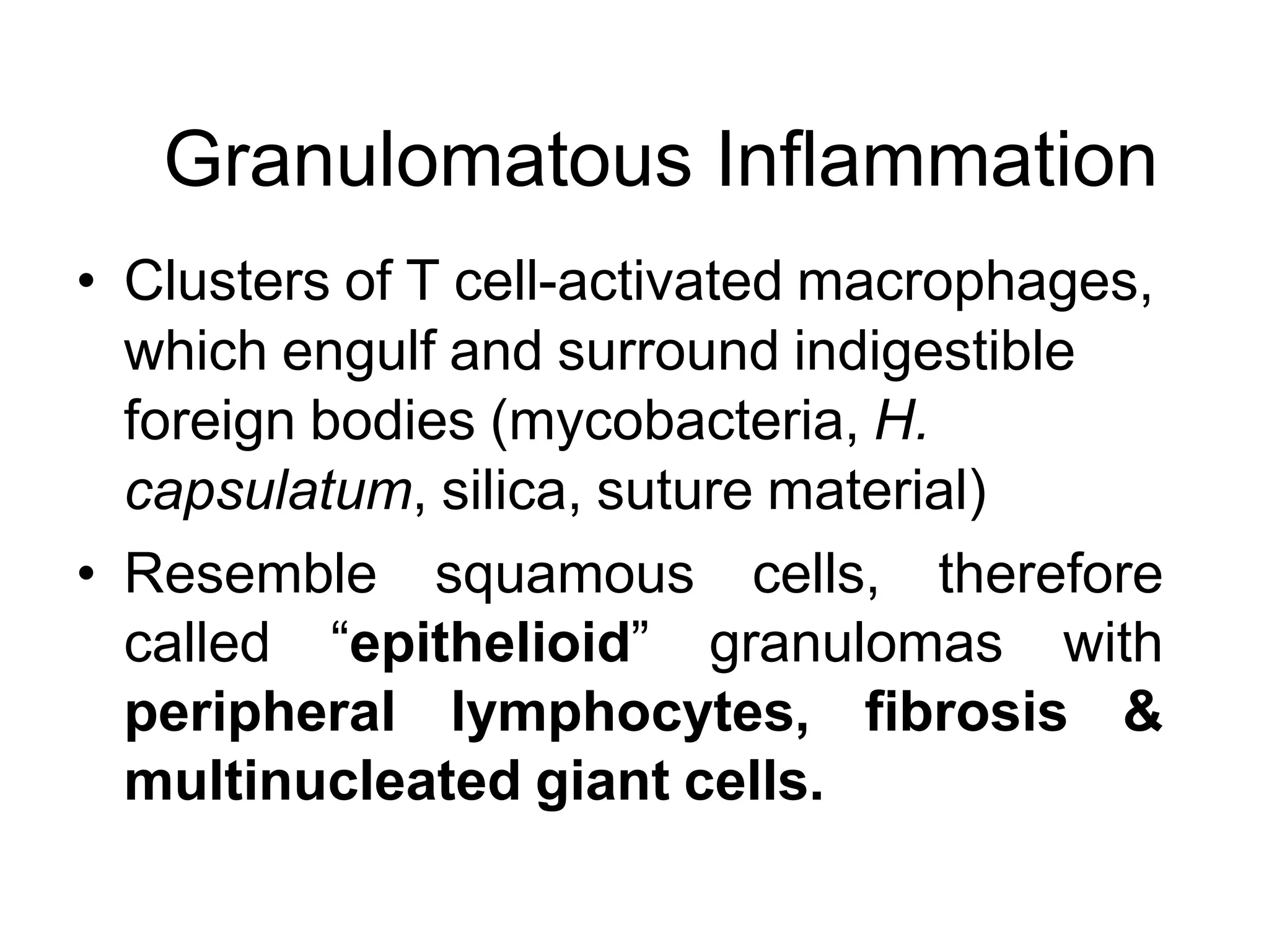 CHRONIC INFLAMMATION.pptx