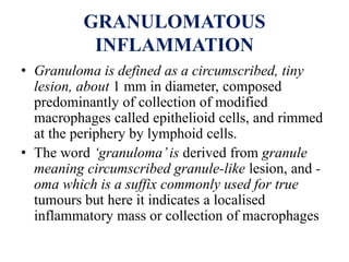 CHRONIC INFLAMMATION.pptx