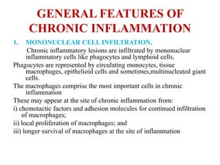 CHRONIC INFLAMMATION.pptx