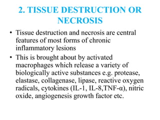 CHRONIC INFLAMMATION.pptx