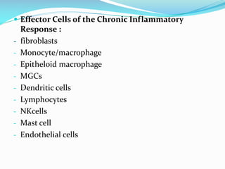 CHRONIC INFLAMMATION.pdf